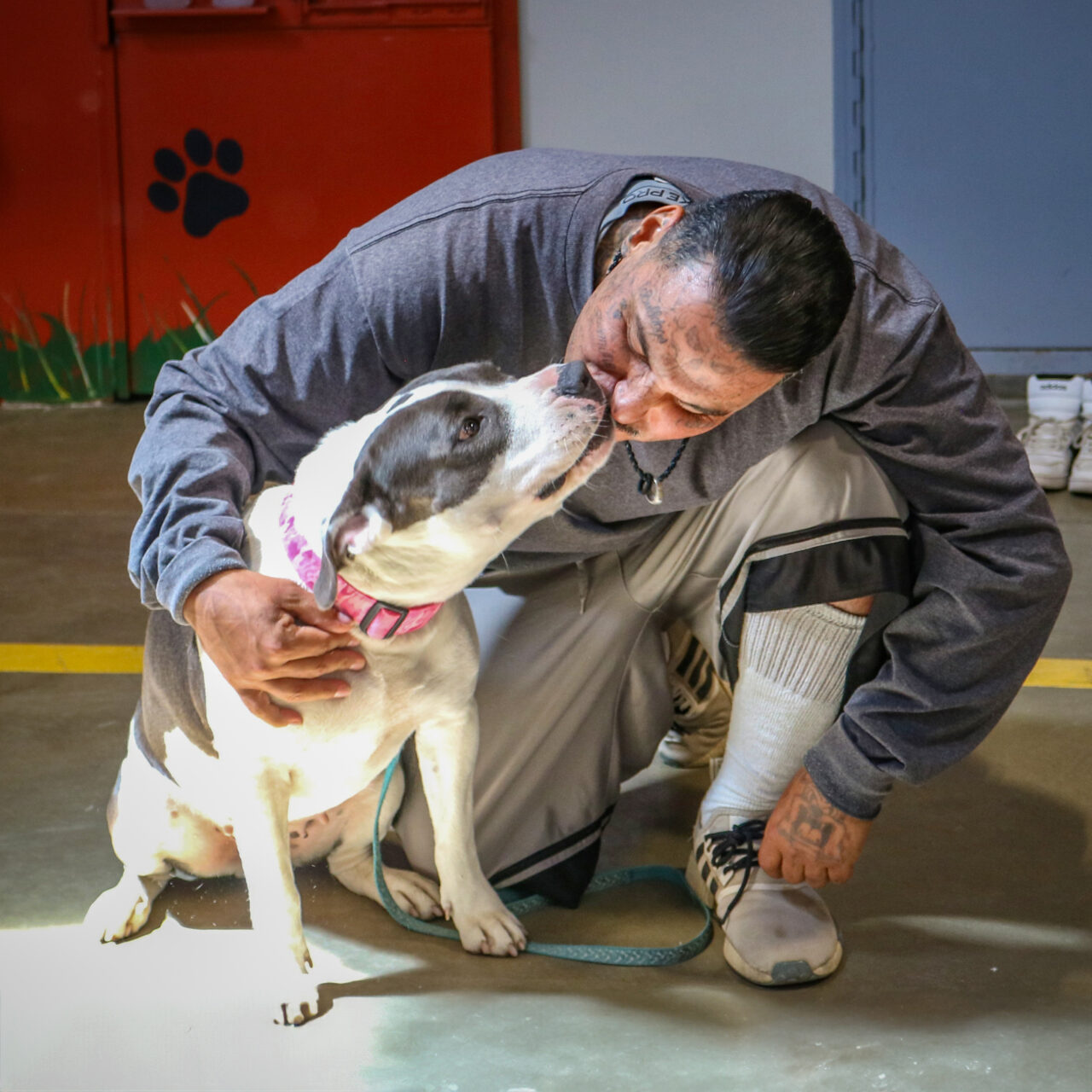 Pawsitive Change | Marley's Mutts