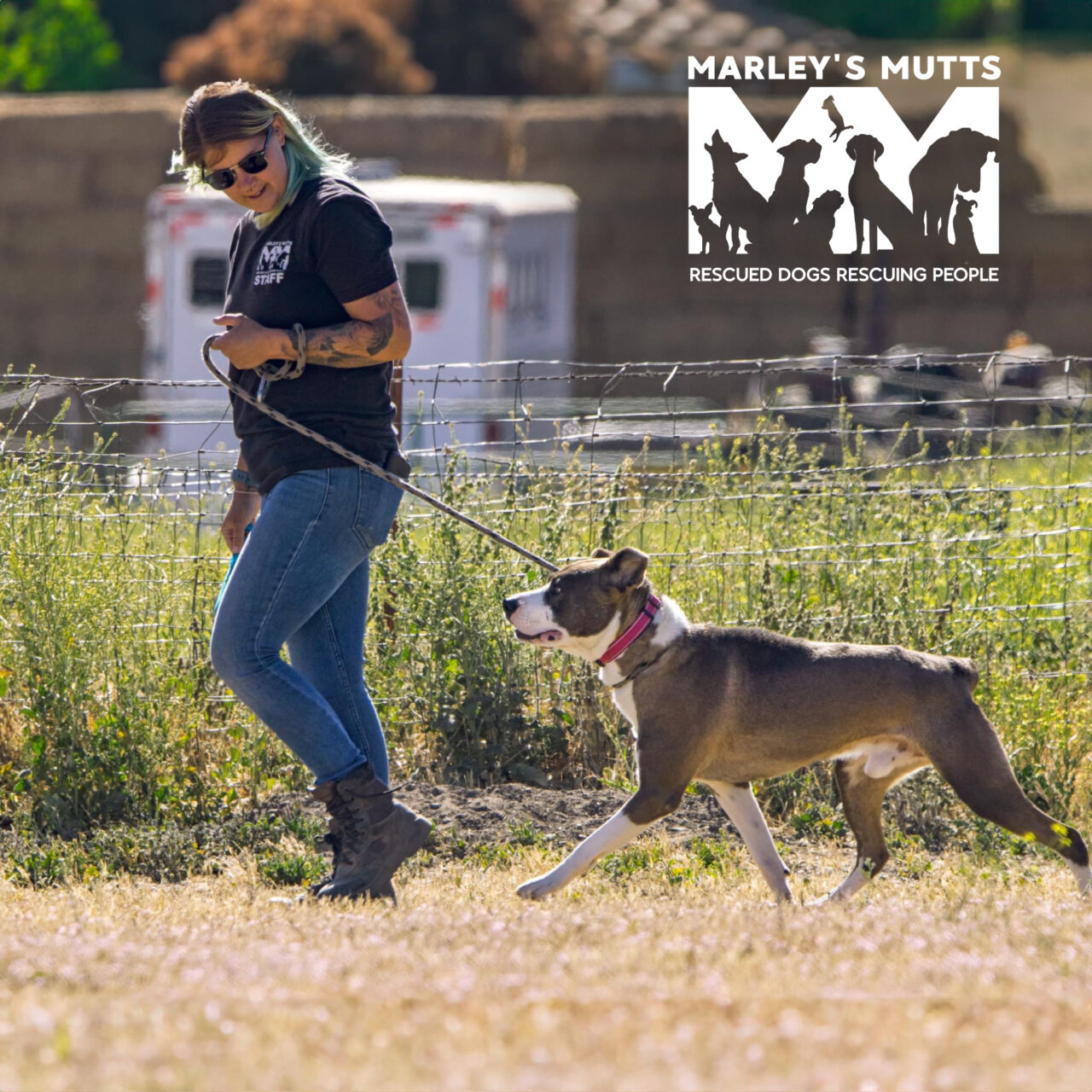 Adoption Process | Marley's Mutts