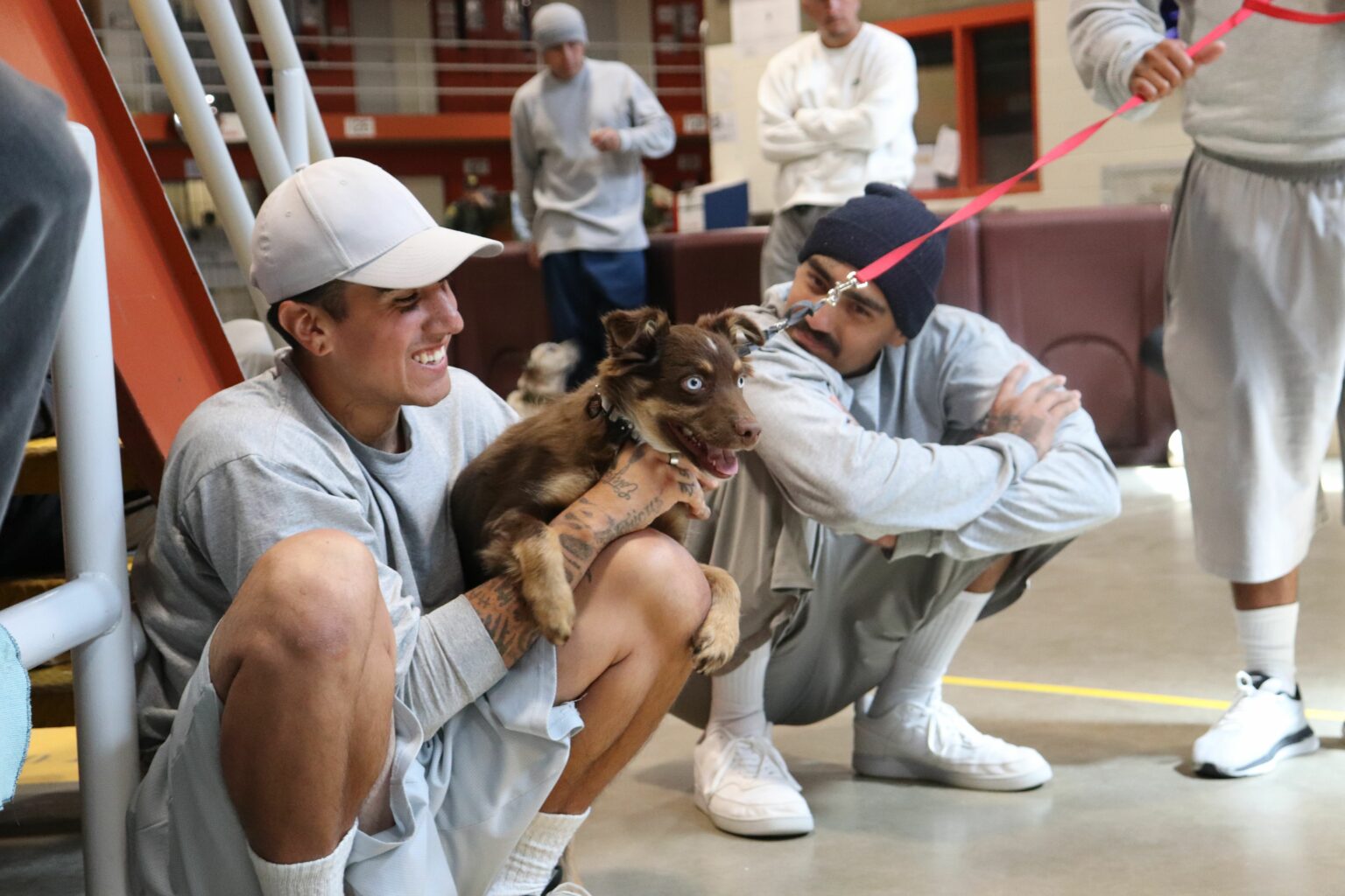 Pawsitive Change | Marley's Mutts